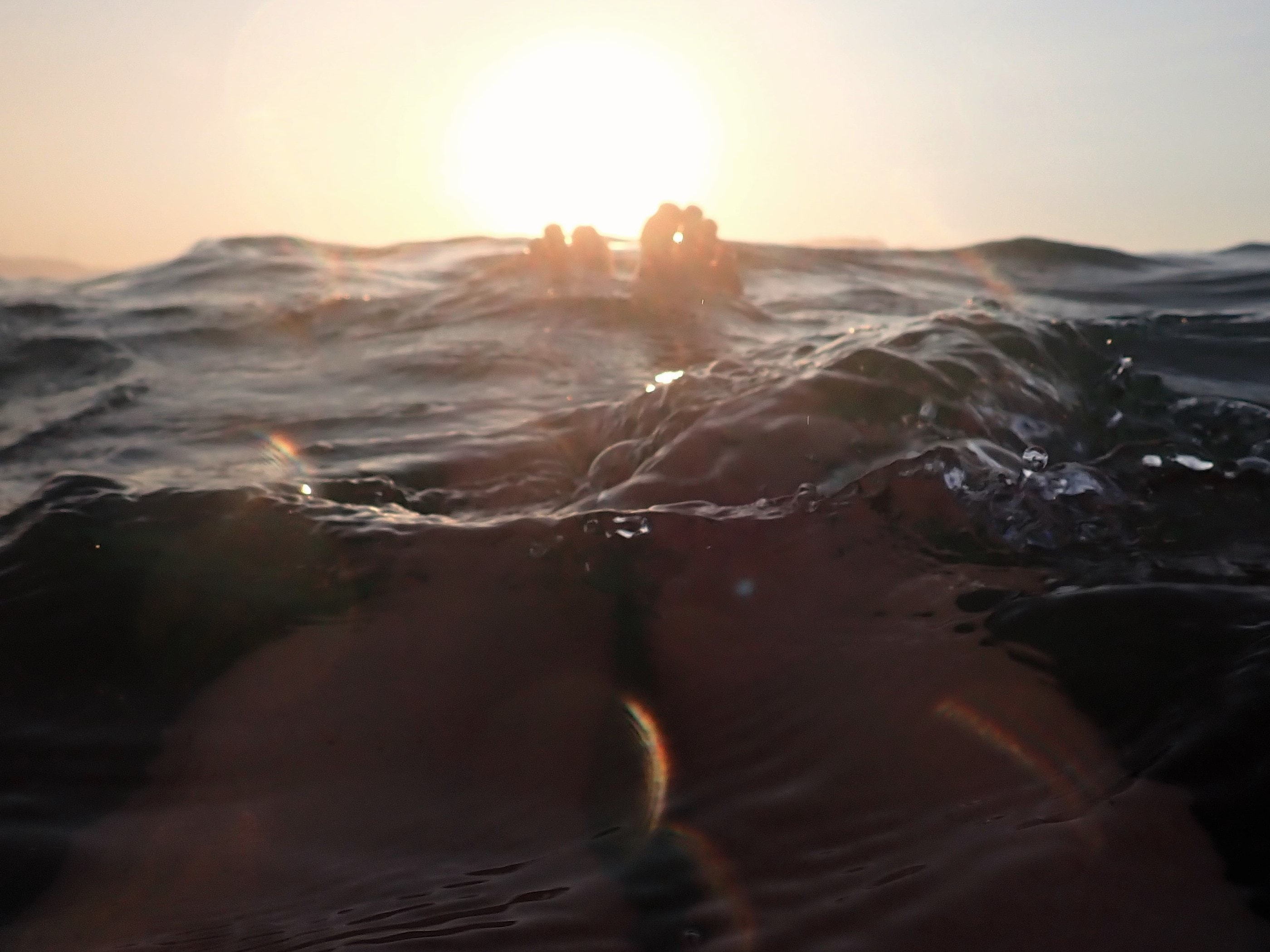 Swimming at Dawn - Swimming at Dawn