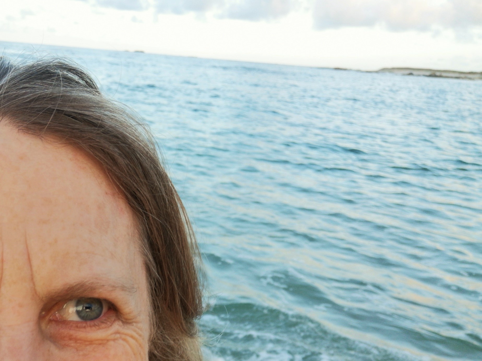 Swimming at Dawn - Swimming at Dawn