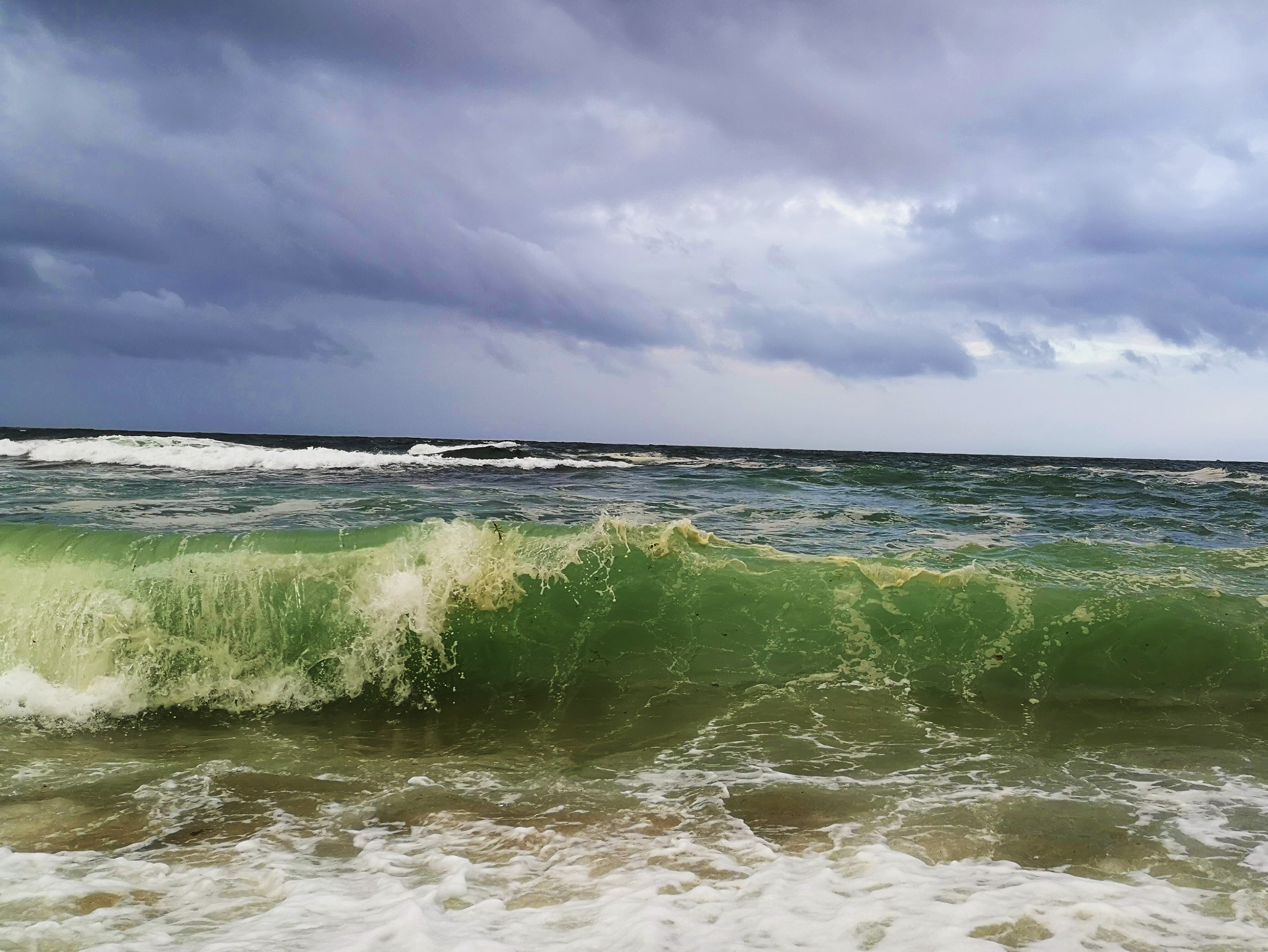 Swimming at Dawn - Swimming at Dawn