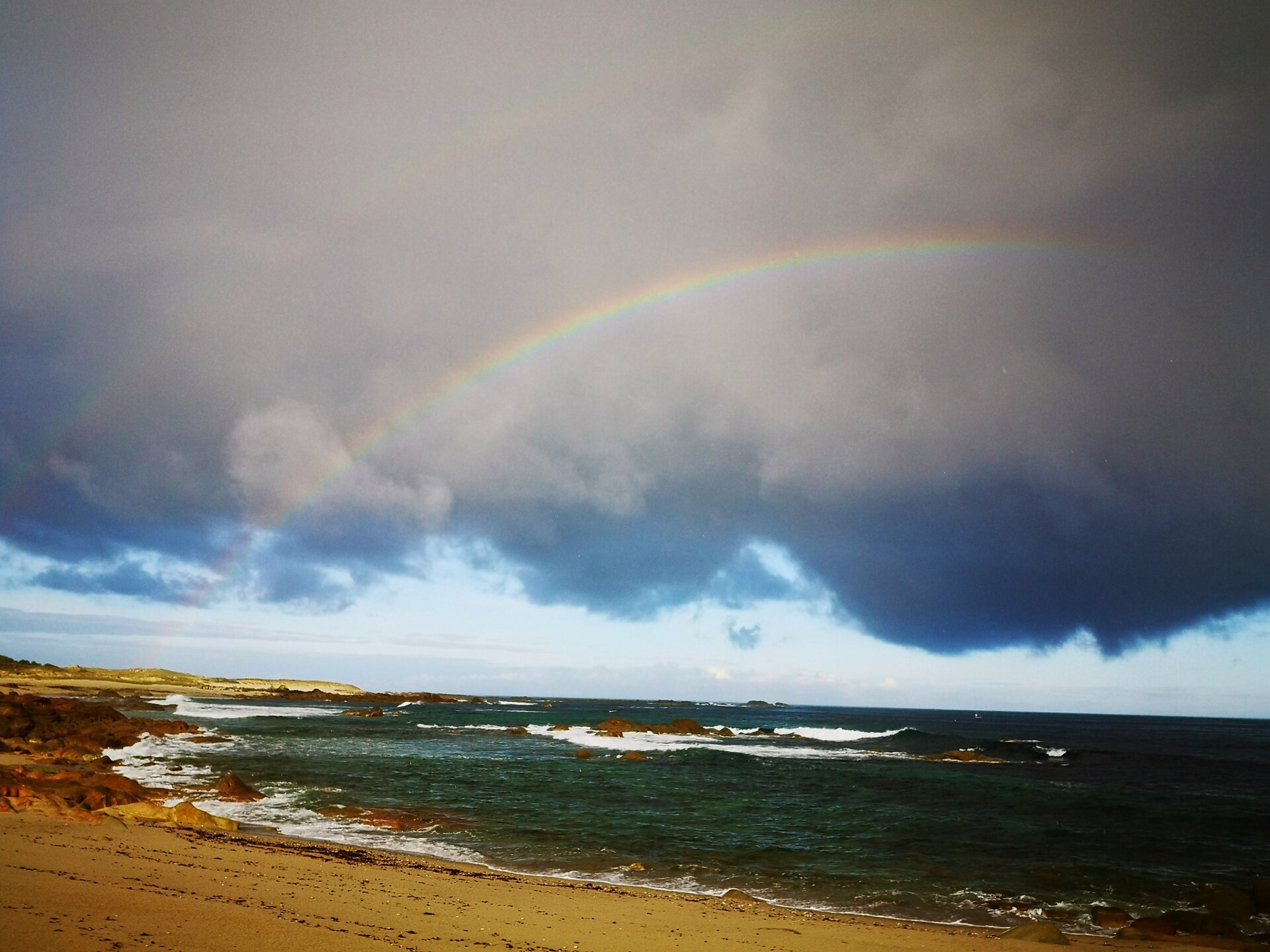 Swimming at Dawn - Swimming at Dawn